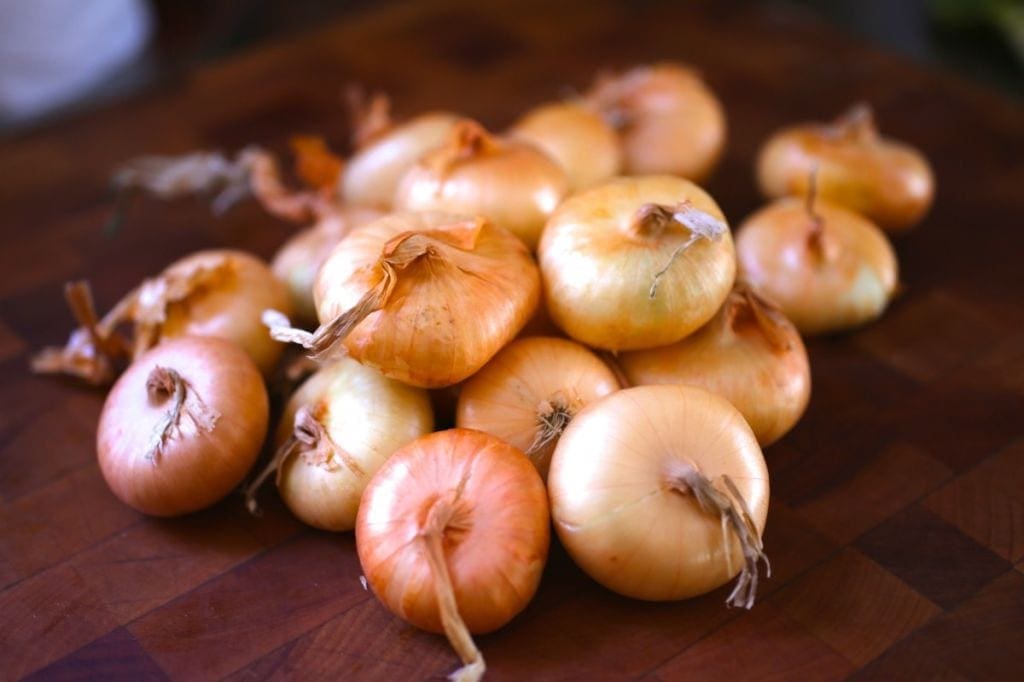 Roasted Cipollini Onions with Thyme - Nerds with Knives