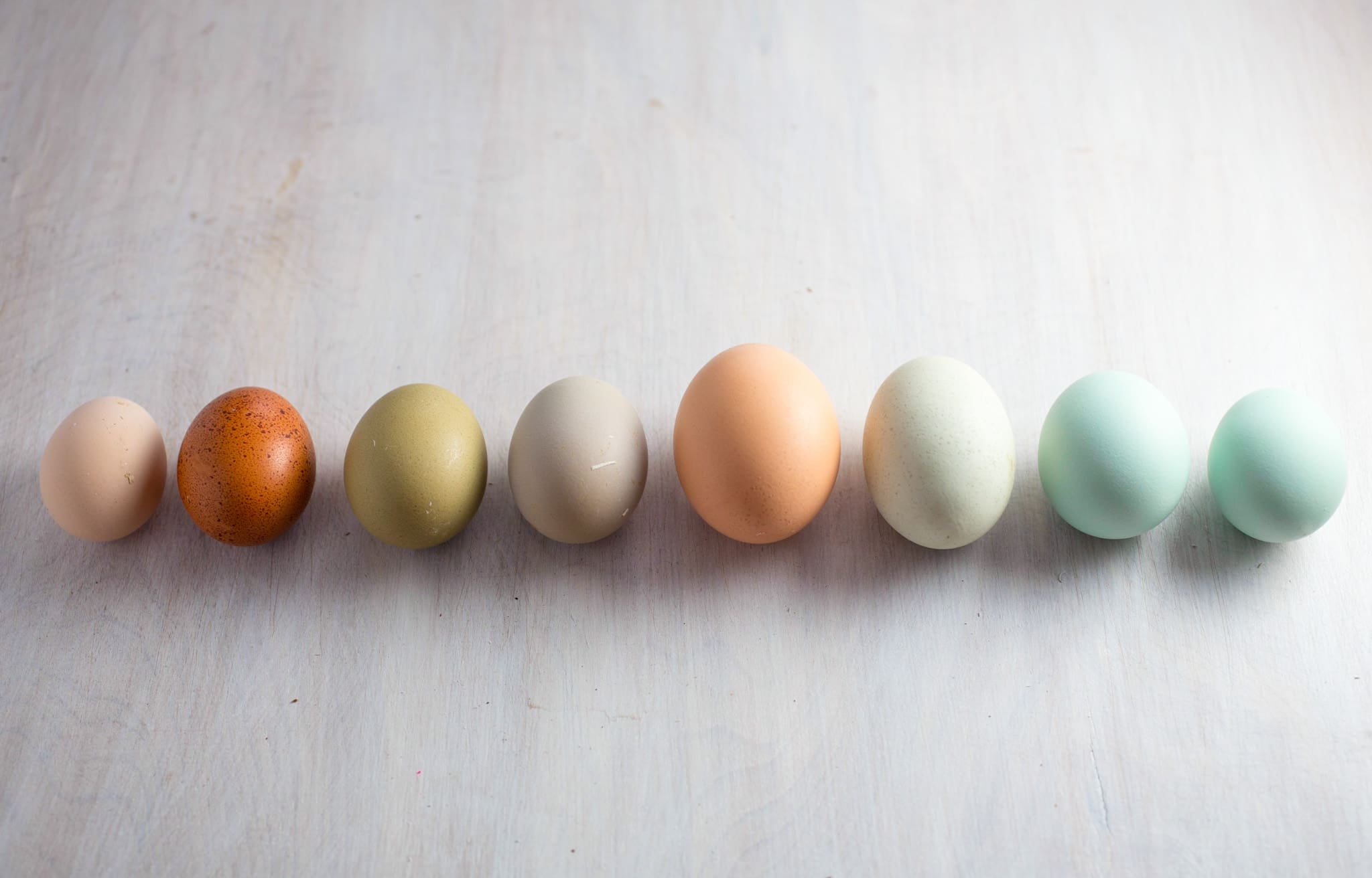 Our Favorite Egg Recipes for Easter - Nerds with Knives